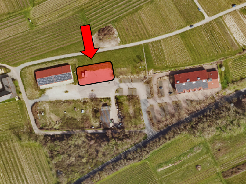 Nackenheim im fröhlichen Weinberg