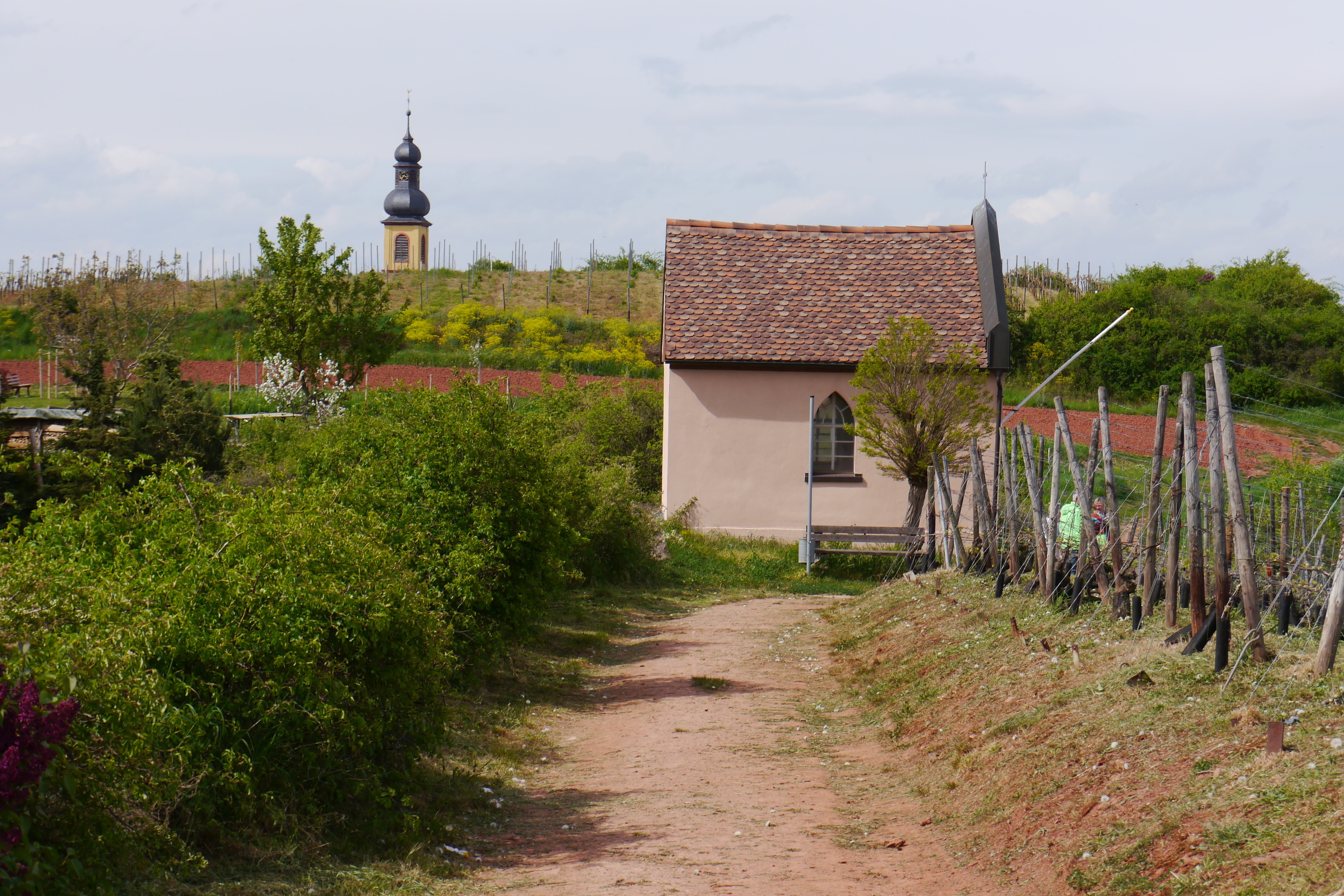 Bergkapelle | Nackenheim im fröhlichen Weinberg